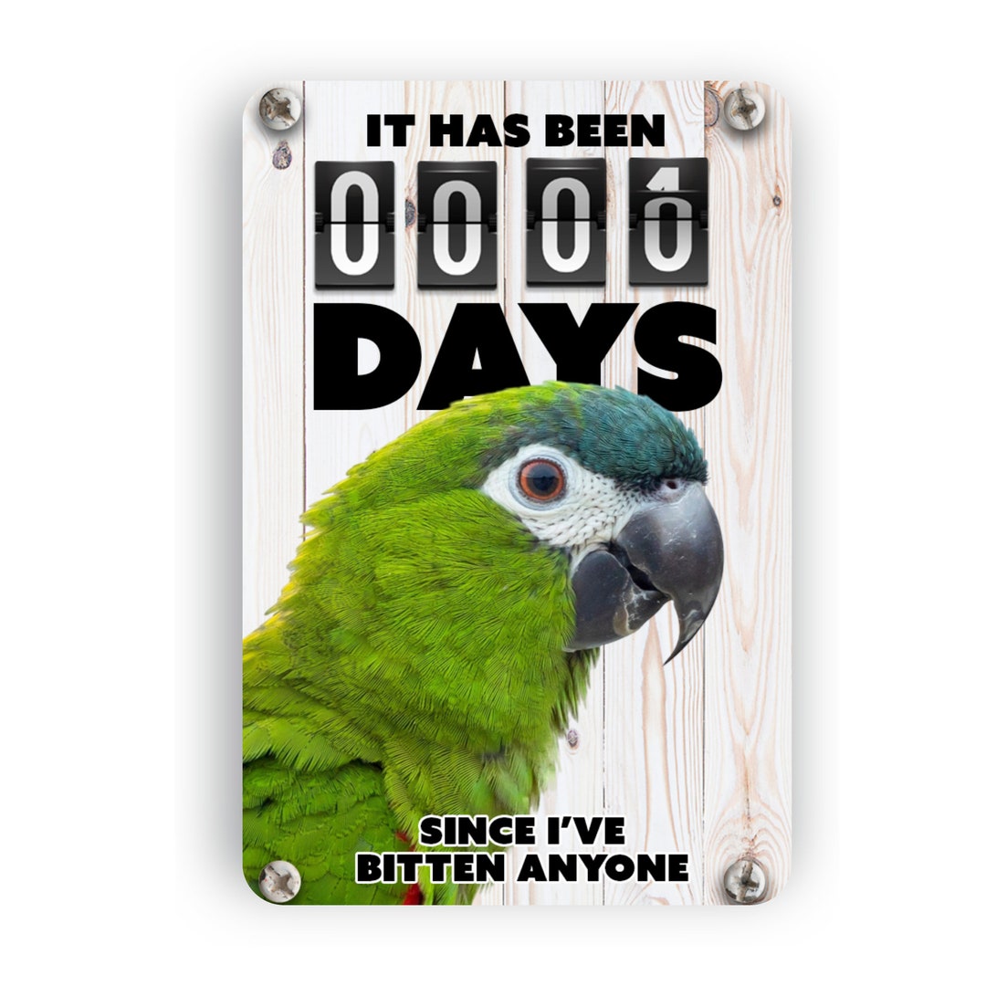 Hahn's Macaw Sign | Parrot Warning Sign | Hahn's Macaw Parrot Sign - Etsy