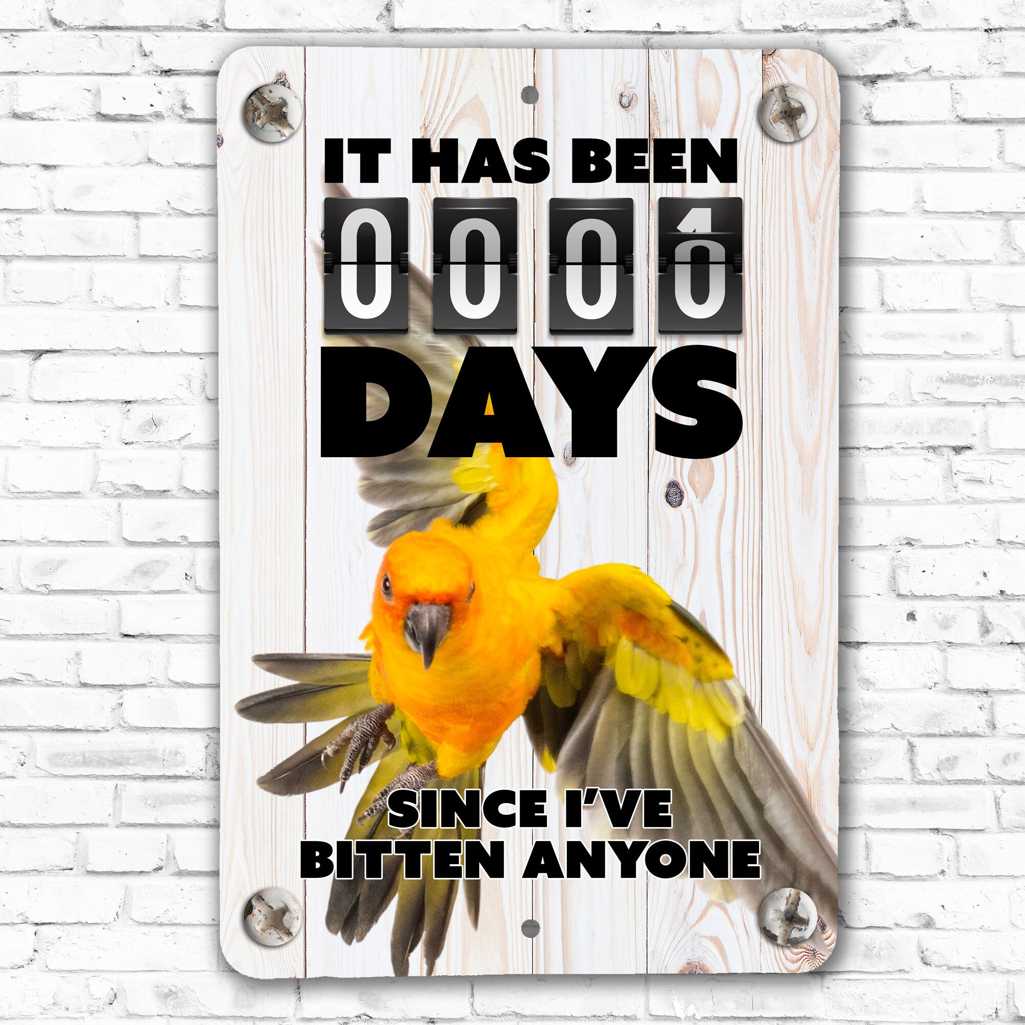 Sun Conure Parrot Flying