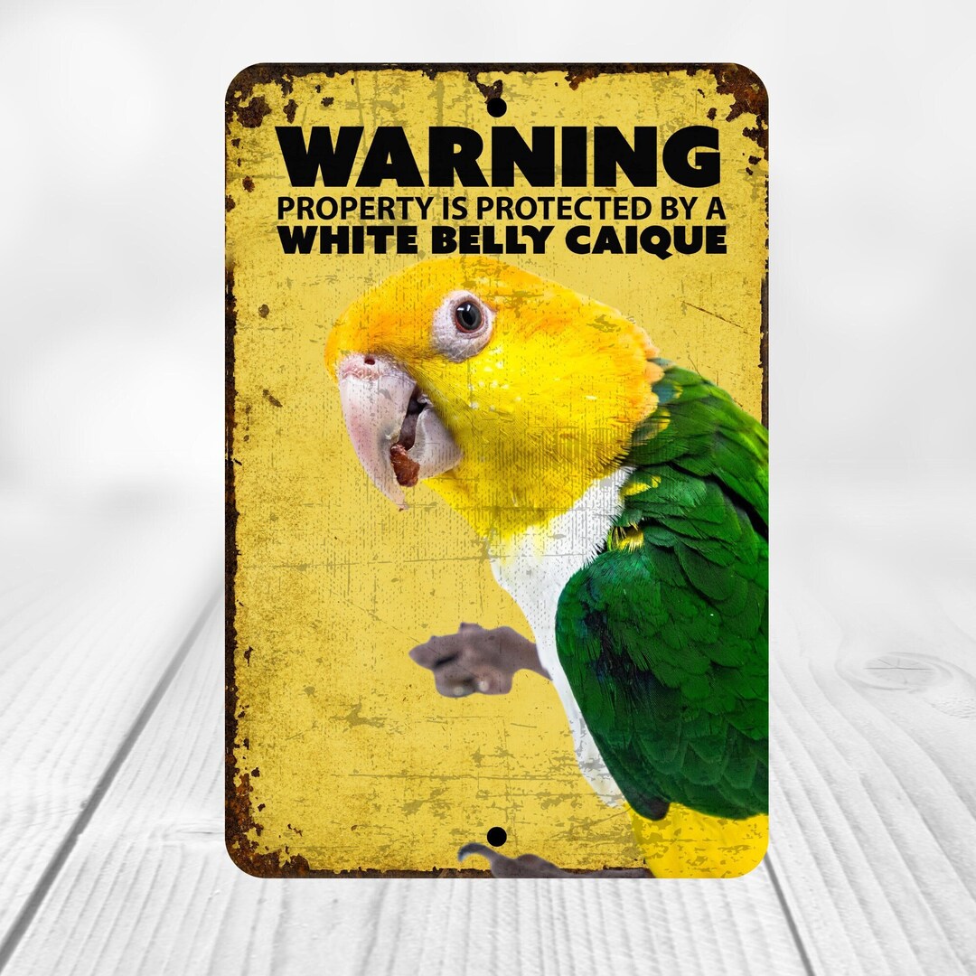 Warning White Belly Caique Parrot Sign | Caique Parrot Warning Sign ...