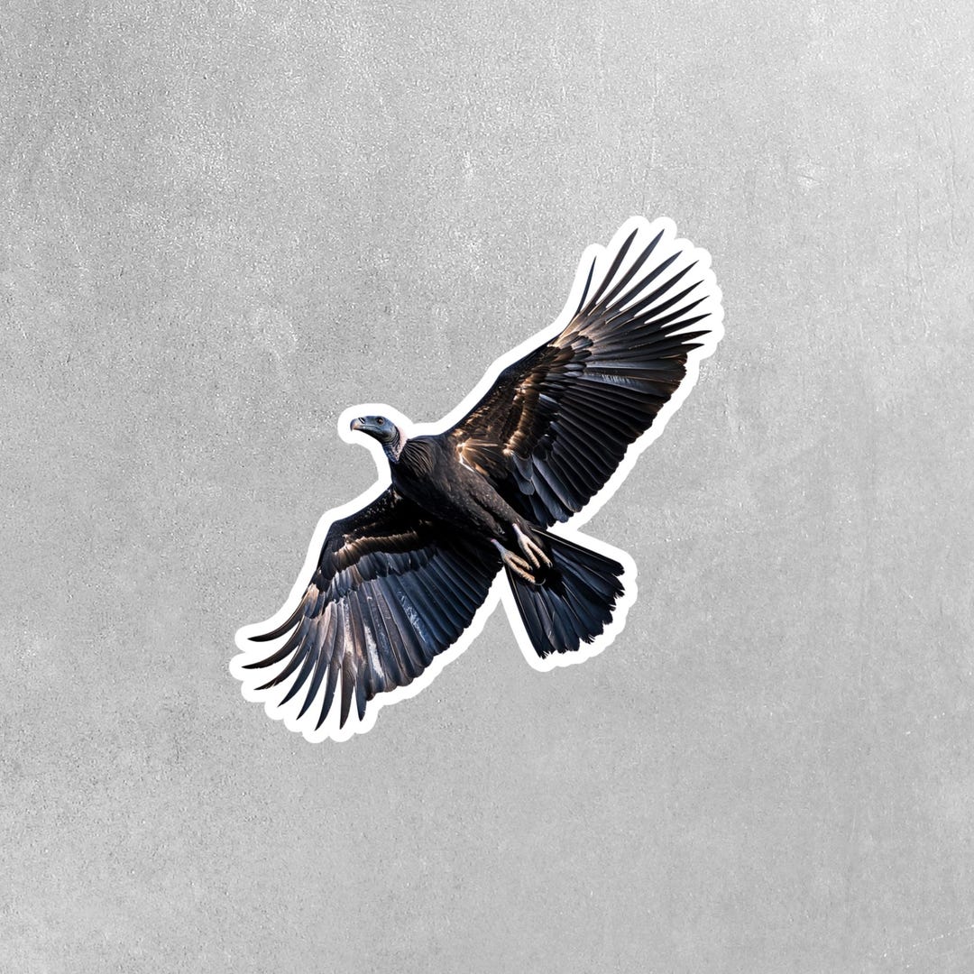 Vulture Sticker | Flying Vulture Decal for Cars, Laptops & Water ...