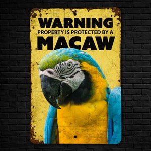 Warning Macaw Sign | Parrot Warning Sign | Macaw Parrot Sign - Etsy