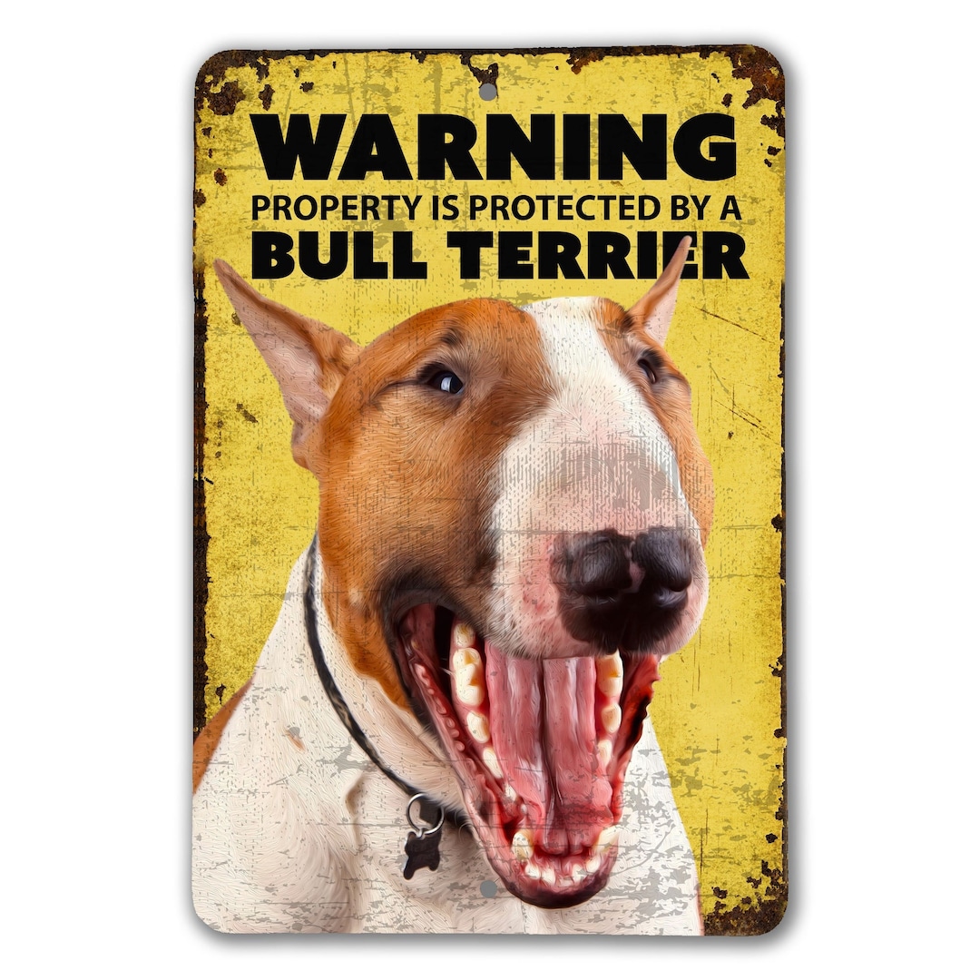 Warning Bull Terrier Sign | Dog Warning Sign | Bull Terrier Sign - Etsy