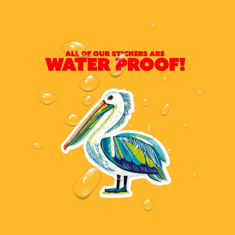 Whimsical Pelican Sticker | Pelican Sticker | Hand Drawn Pelican ...