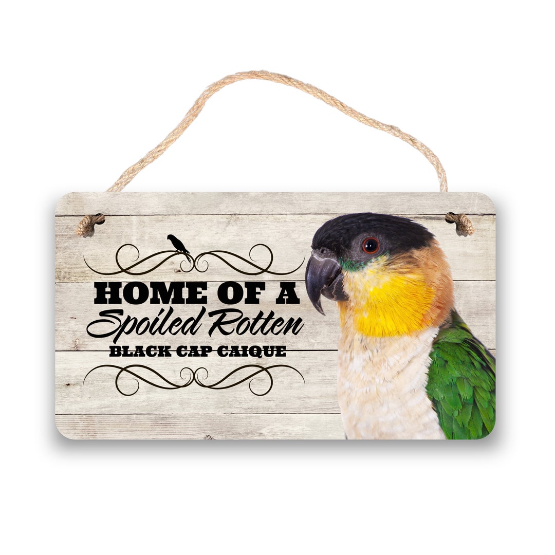 Black Cap Caique Spoiled Rotten Sign | Caique Sign - Etsy