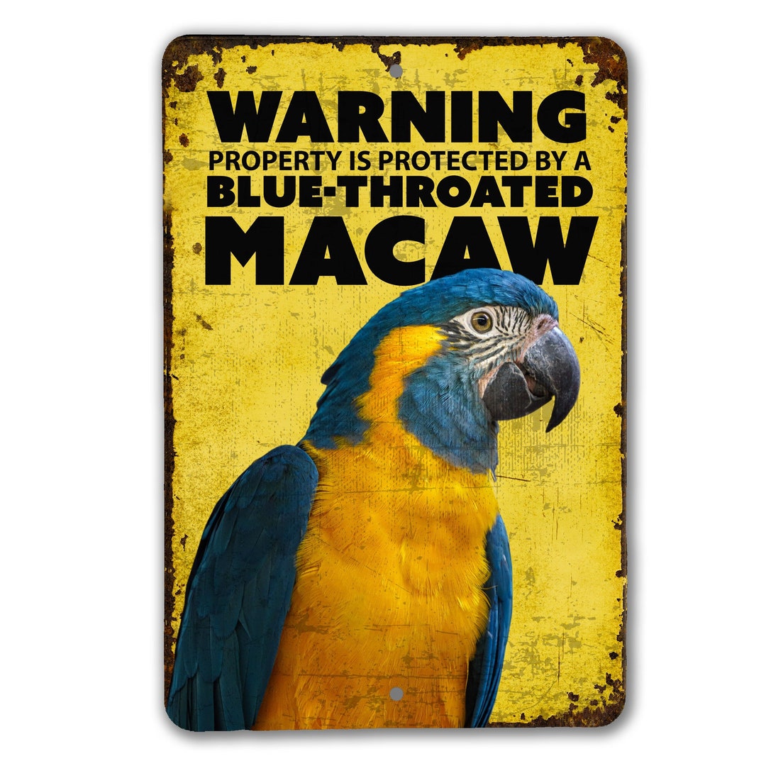 Warning Blue-throated Macaw Sign | Parrot Warning Sign | Blue Throated ...