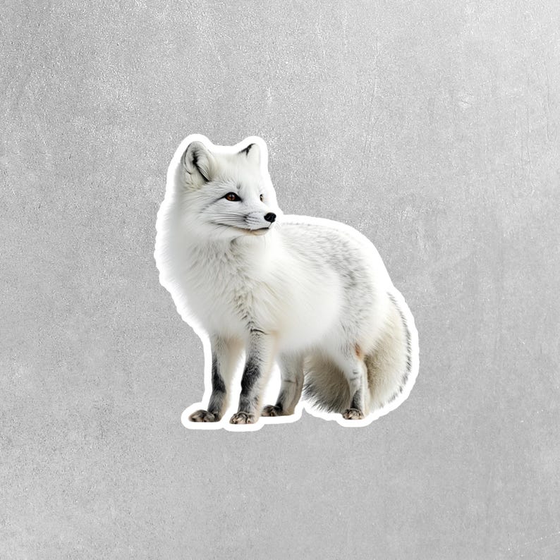 Arctic Fox Sticker | White Fox Sticker | Fox Decal - Etsy