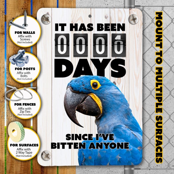 Hyacinth Macaw Bite What Is The Worst Parrot Bite I’ve Had To Date?