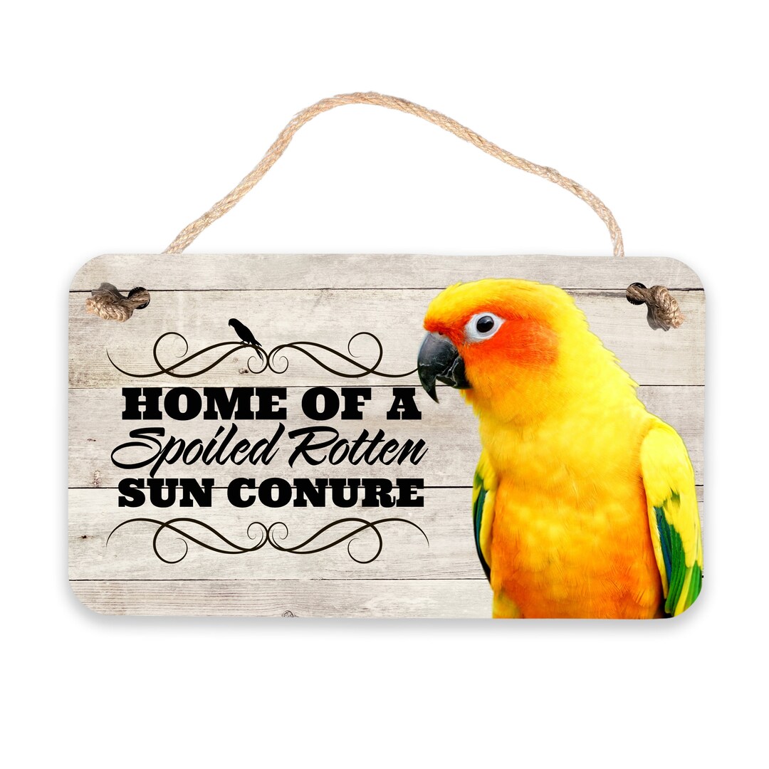 Home of A Spoiled Rotten Sun Conure Sign | Sun Conure Parrot Sign - Etsy
