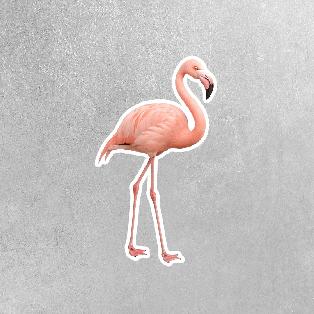 Pink Flamingo Sticker - Pink Flamingo Decal - Flamingo Sticker - Etsy