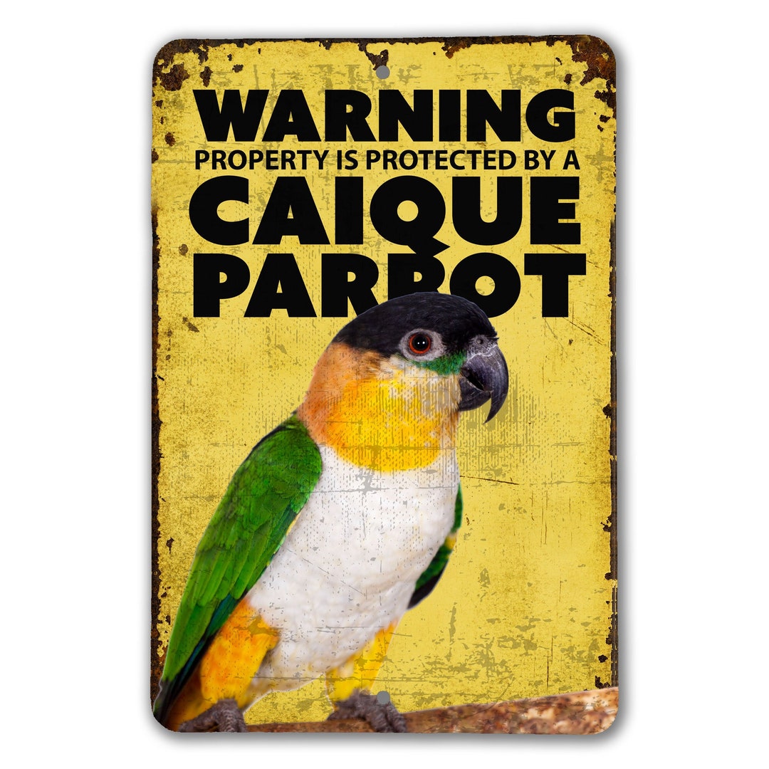 Warning Black Cap Caique Parrot Sign | Caique Parrot Warning Sign ...