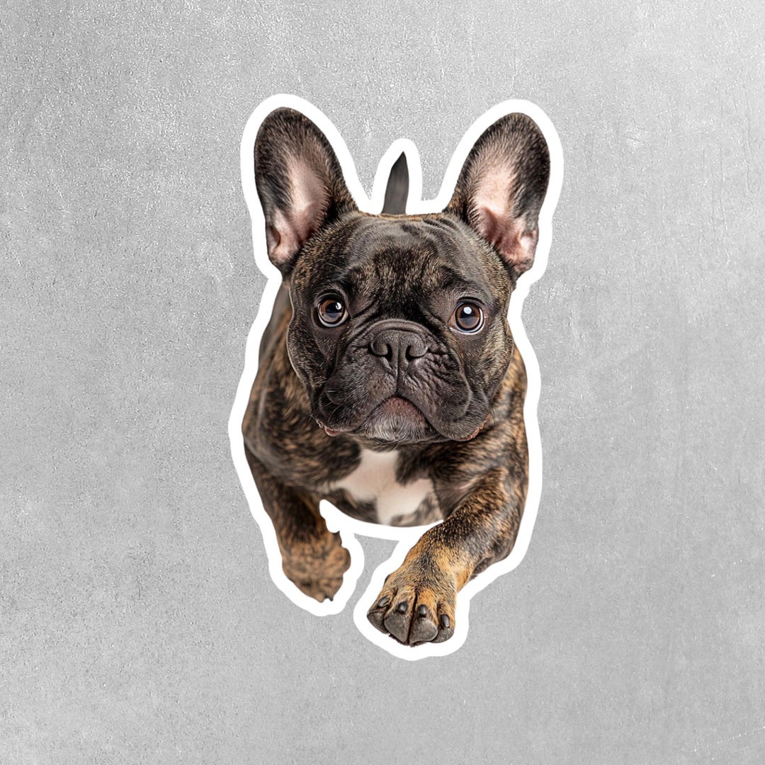French Bulldog Running Sticker - Frenchie Decal for Water Bottles, Car ...