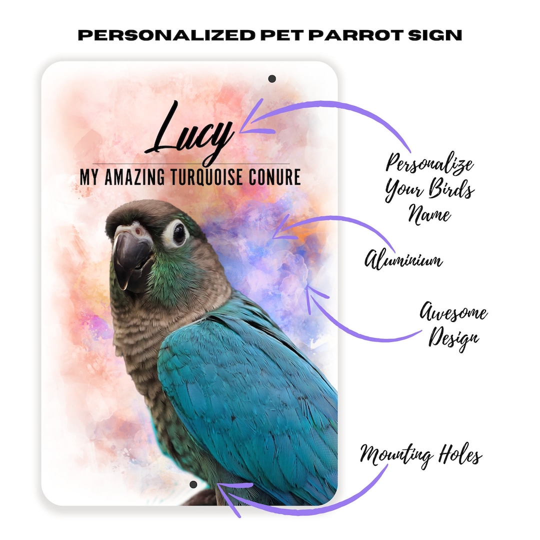 Personalized Turquoise Conure Sign | Personalized Name Turquoise Conure ...