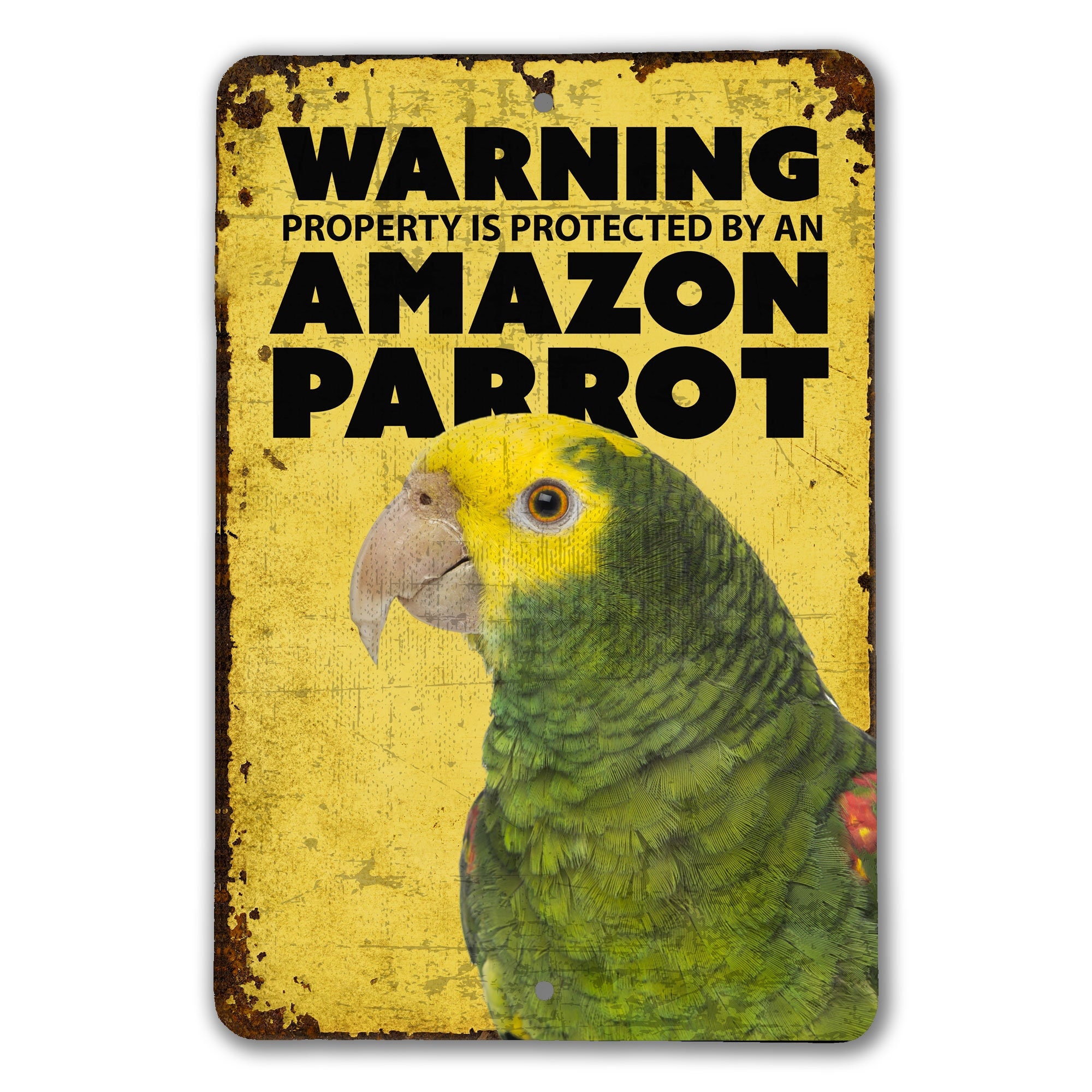 Warning Amazon Parrot Sign Amazon Parrot Warning Sign - Etsy
