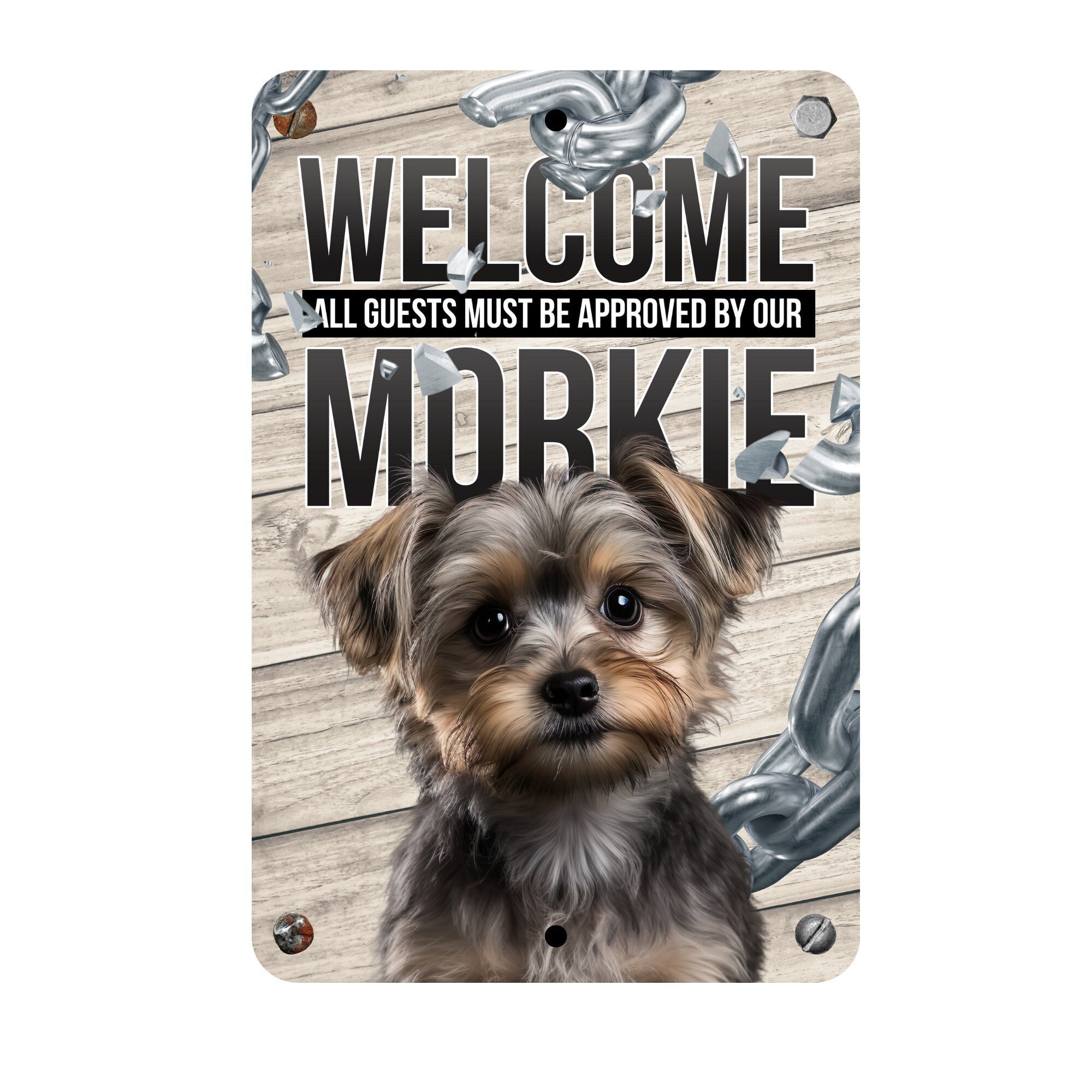 Silver Morkie