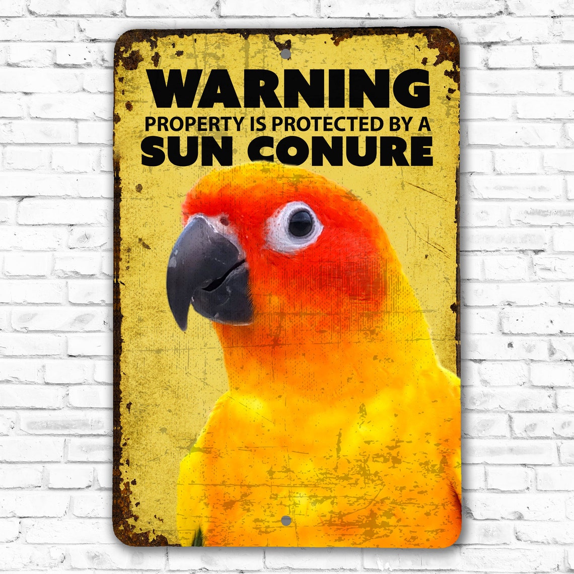 Warning Sun Conure Sign | Parrot Warning Sign | Sun Conure Parrot Sign ...