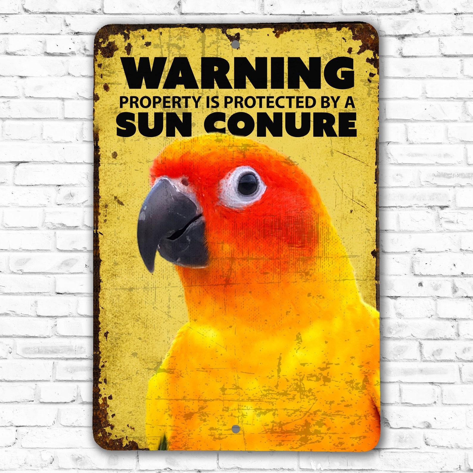 Warning Sun Conure Sign Parrot Warning Sign Sun Conure - Etsy