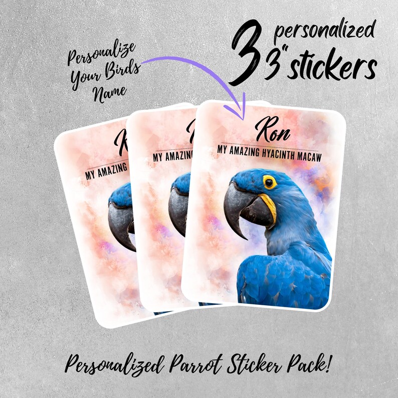 Personalized Hyacinth Macaw Sticker Three Pack Macaw Sticker - Etsy