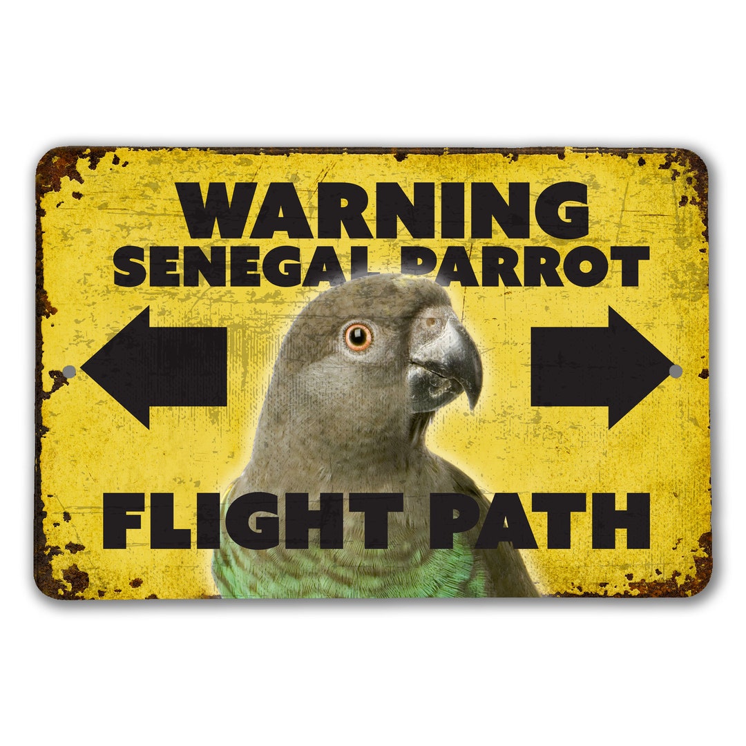 Warning Senegal Parrot Flight Path Sign | Senegal Parrot Warning Sign ...
