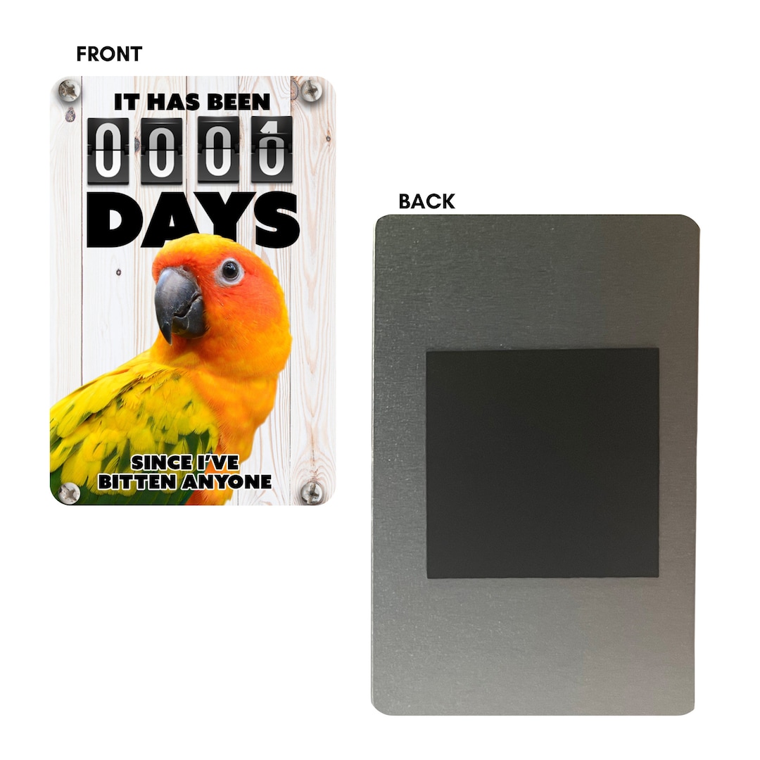 Sun Conure Refrigerator Magnet | Sun Conure Magnet - Etsy