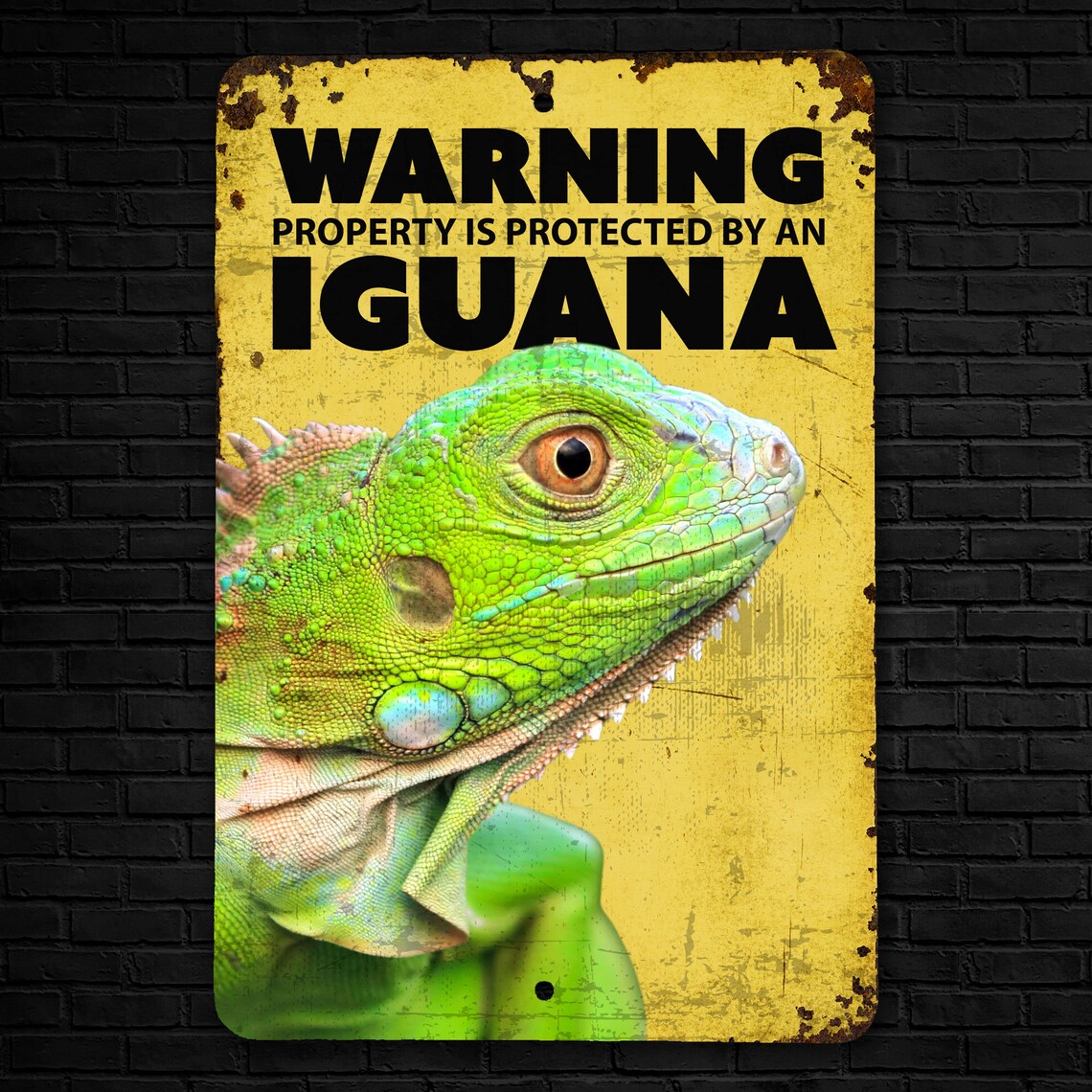 Warning Iguana Sign Iguana Warning Sign Iguana Sign | Etsy