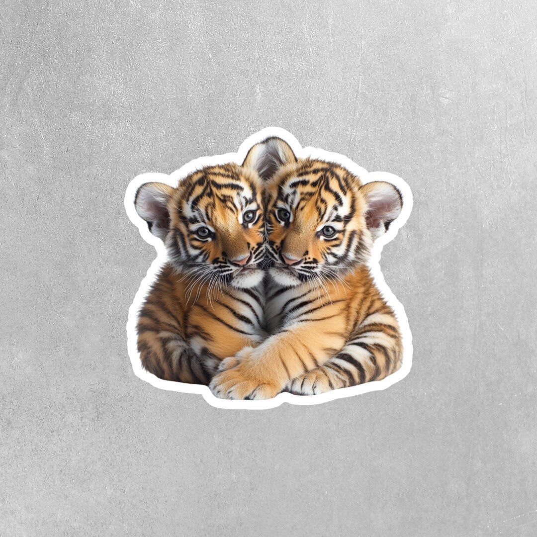 Hugging Tiger Cubs Sticker | Cute Tiger Cubs Decal for Laptop, Water ...