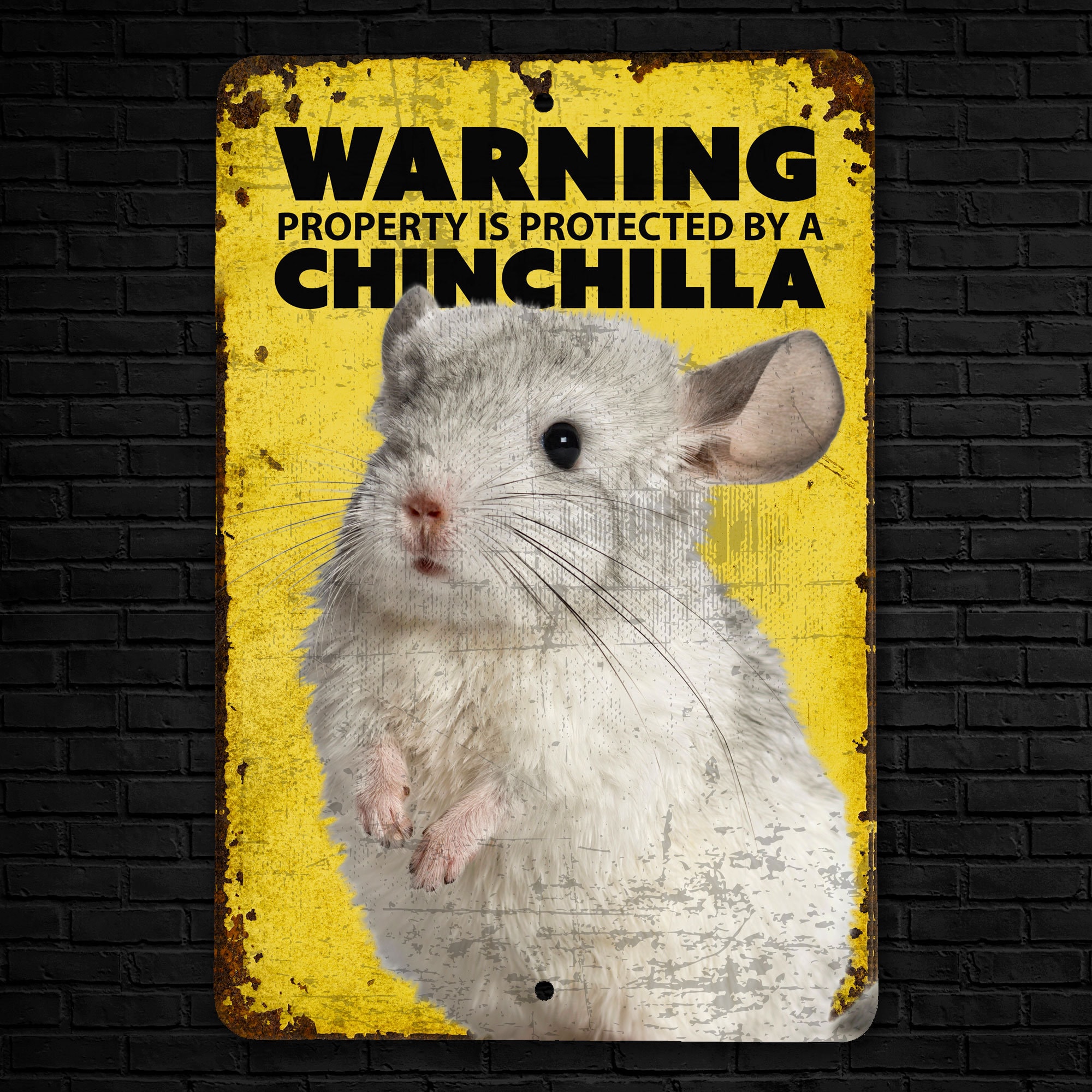 Warning Chinchilla Sign | Chinchilla Warning Sign | Chinchilla Sign - Etsy