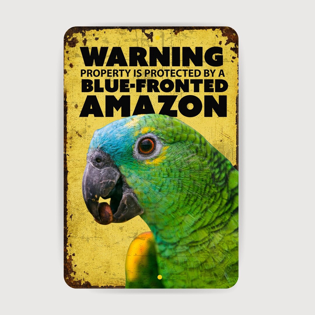 Warning Blue-fronted Amazon Parrot Sign | Blue-fronted Amazon Parrot ...