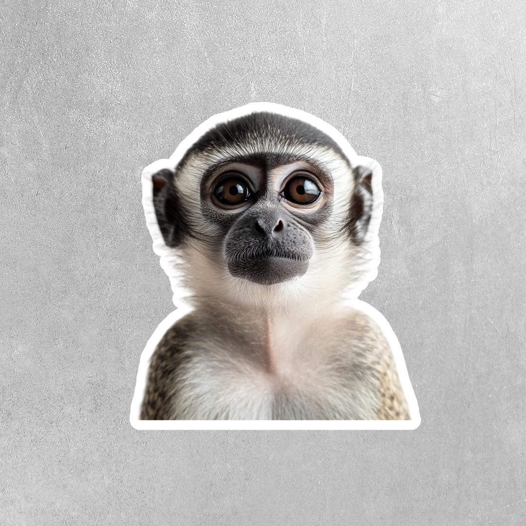 Monkey Sticker - Cute Animal Vinyl Decal, Monkey Wall Art, Fun Jungle ...