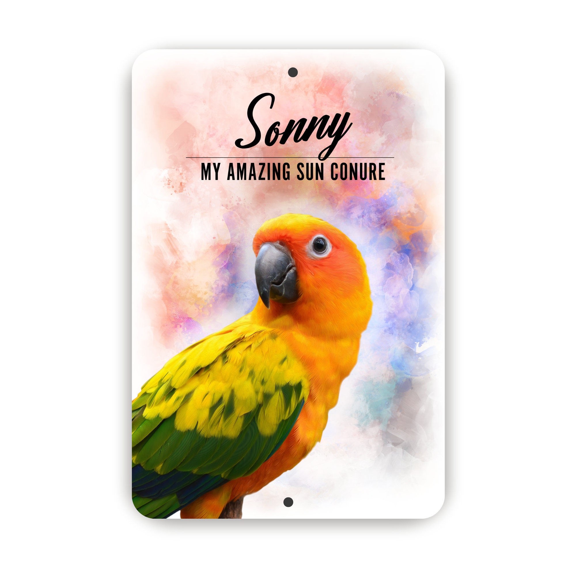 Personalized Sun Conure Sign | Personalized Name Sun Conure Sign - Etsy