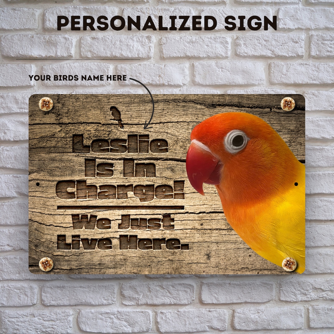 Personalized Love Bird Sign | Rustic Parrot Sign | Add Your Love Bird ...