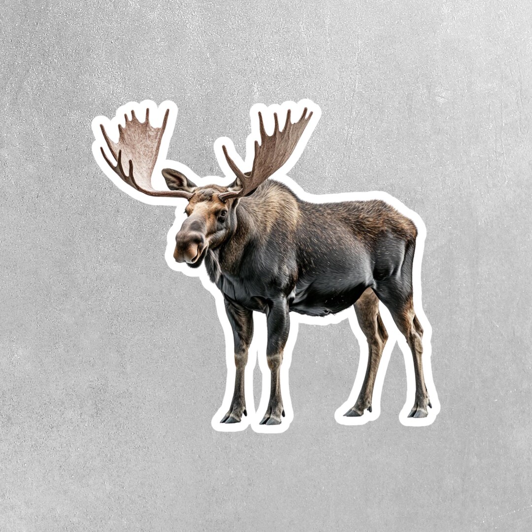 Moose Sticker - Cute Moose Vinyl Decal for Home Decor, Laptop, Water ...