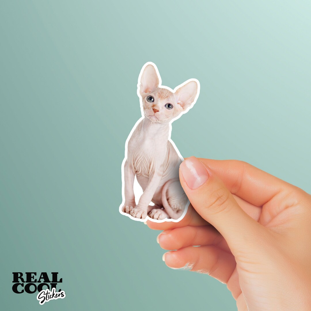 Sphynx Cat Sticker Cat Sticker Cat Decal Hairless Cat Stickers - Etsy