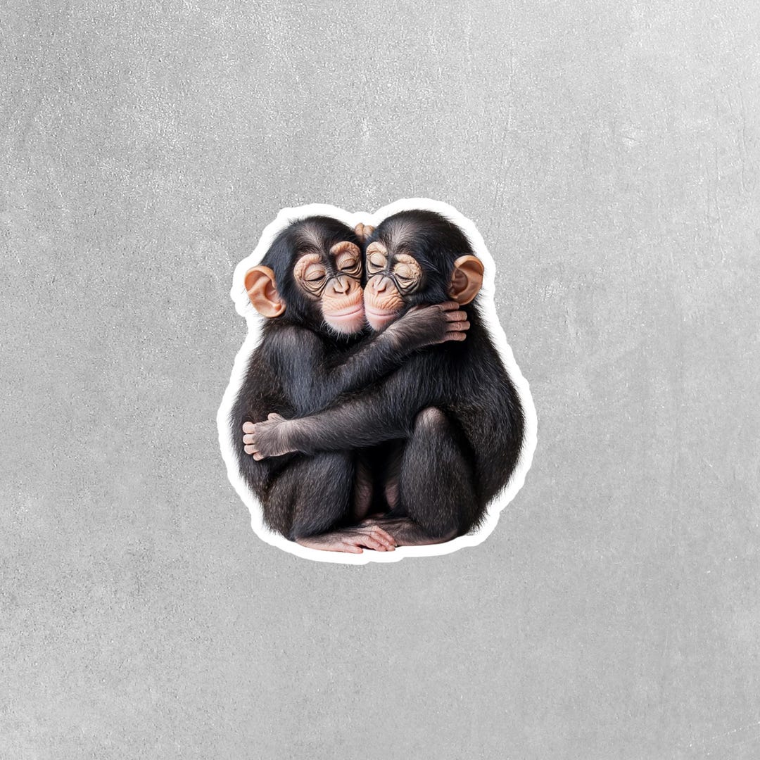 Hugging Chimpanzees Sticker | Cute Chimpanzees Decal for Laptop, Water ...