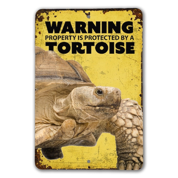 Warning Tortoise Sign Tortoise Warning Sign Tortoise Sign - Etsy