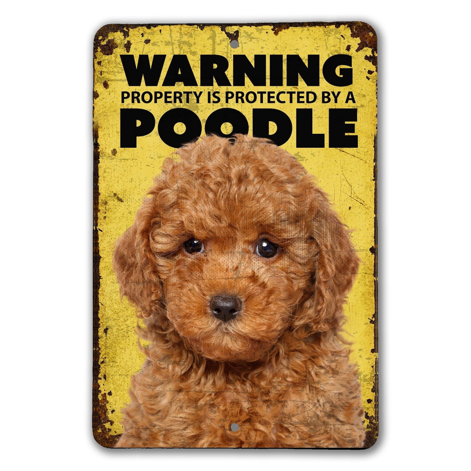 Warning Poodle Sign | Dog Warning Sign | Pet Poodle Sign - Etsy