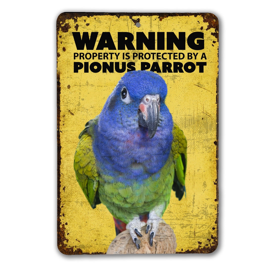 Warning Pionus Parrot Sign | Pionus Parrot Warning Sign | Pionus Parrot ...