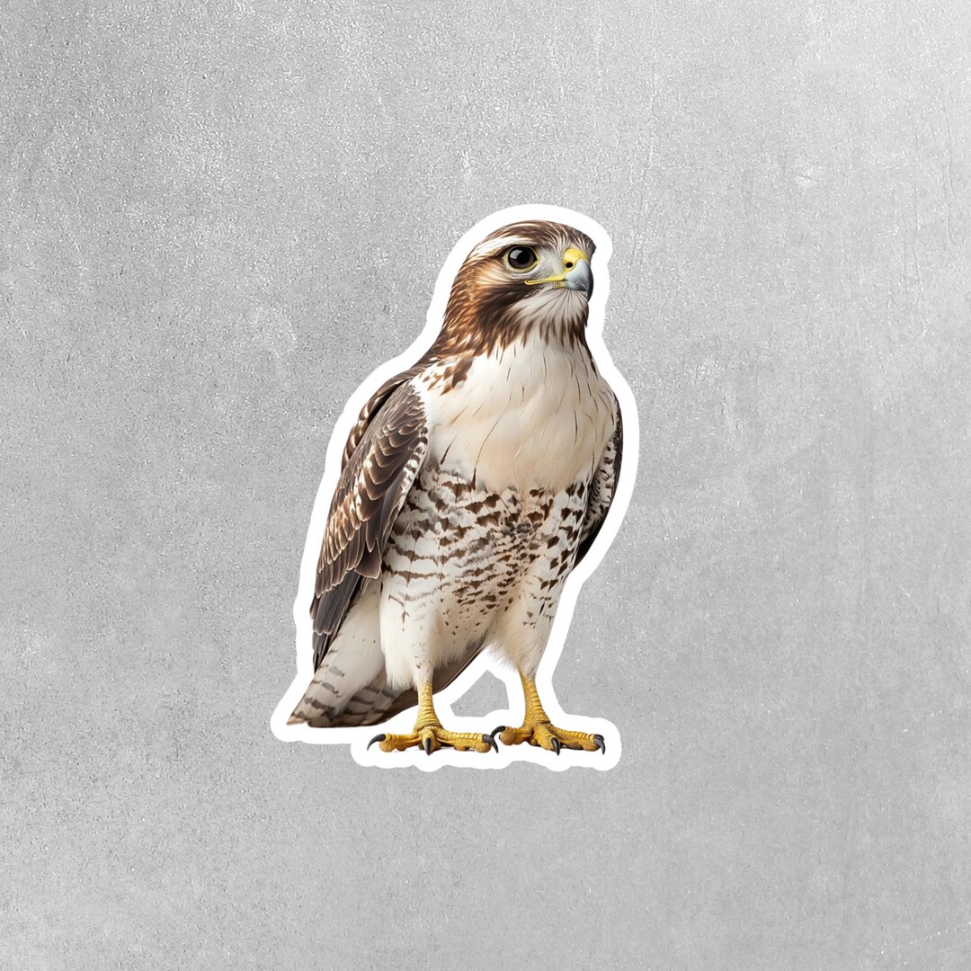 Hawk Sticker | Hawk Decal | Perfect Gift for Bird Watchers & Hawk ...