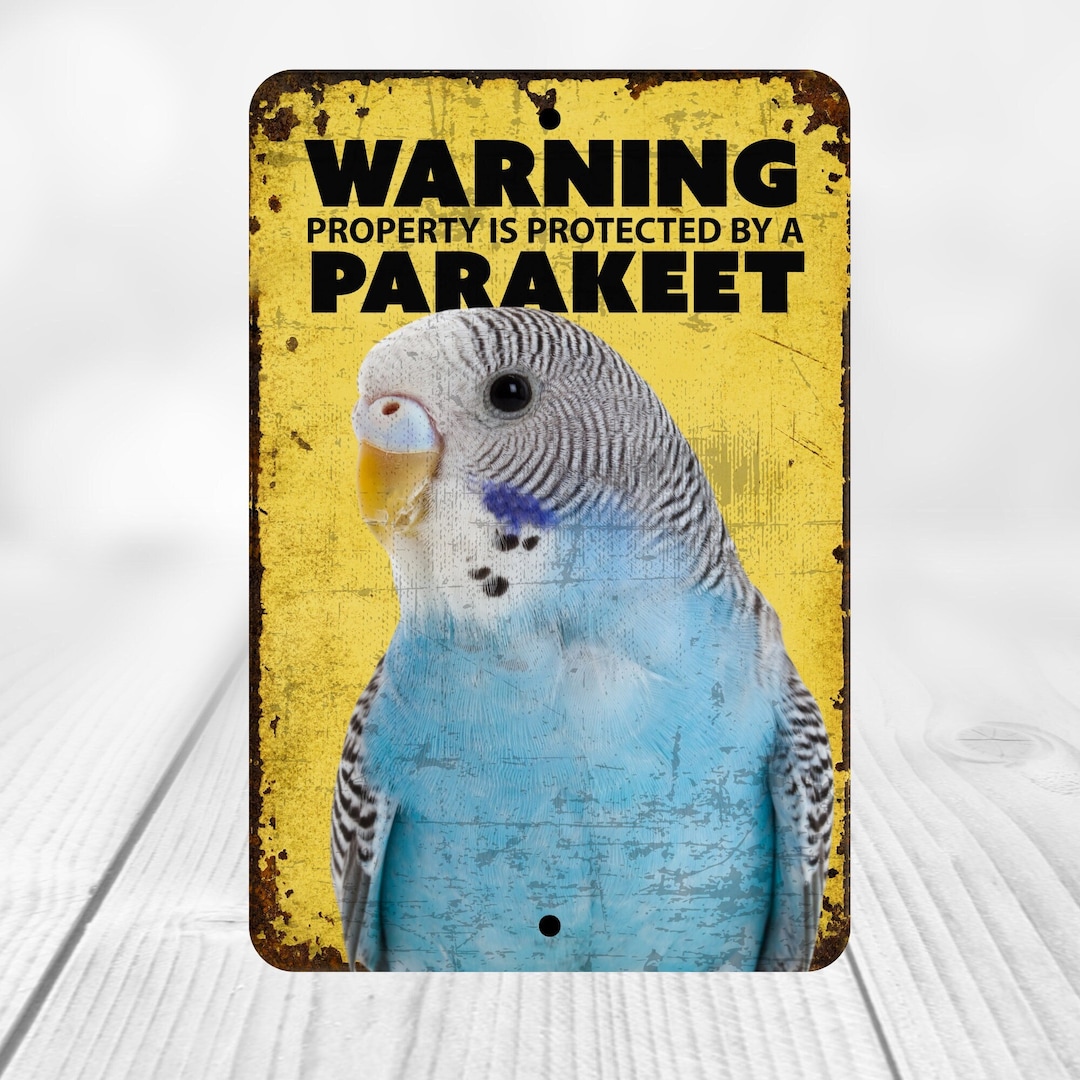 Parakeet Sign | Blue Parakeet Sign | Rustic Parakeet Sign - Etsy