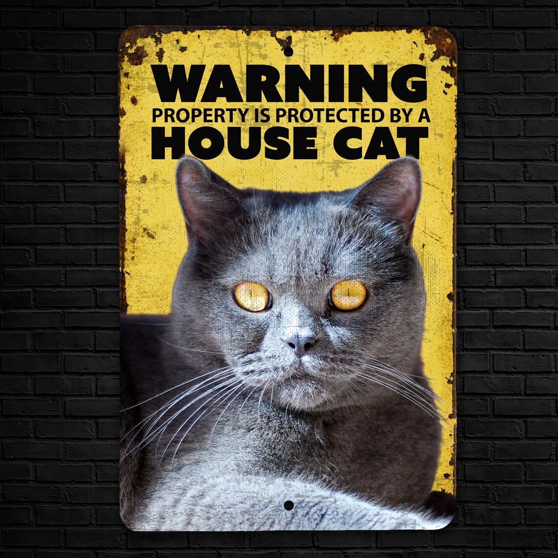 Warning House Cat Sign Cat Warning Sign House Cat Sign - Etsy