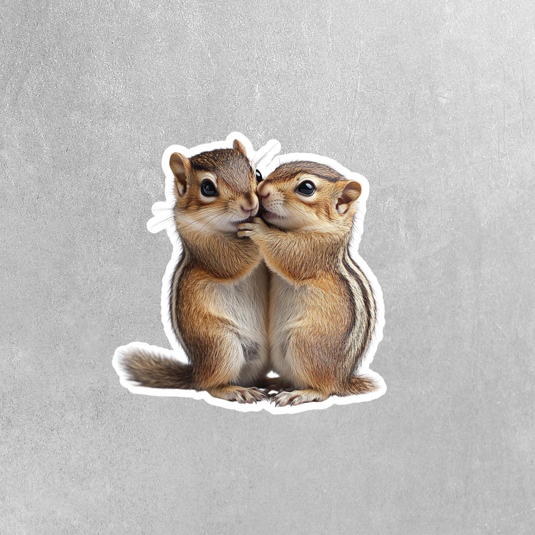 Hugging Chipmunks Sticker | Cute Chipmunks Decal for Laptop, Water ...