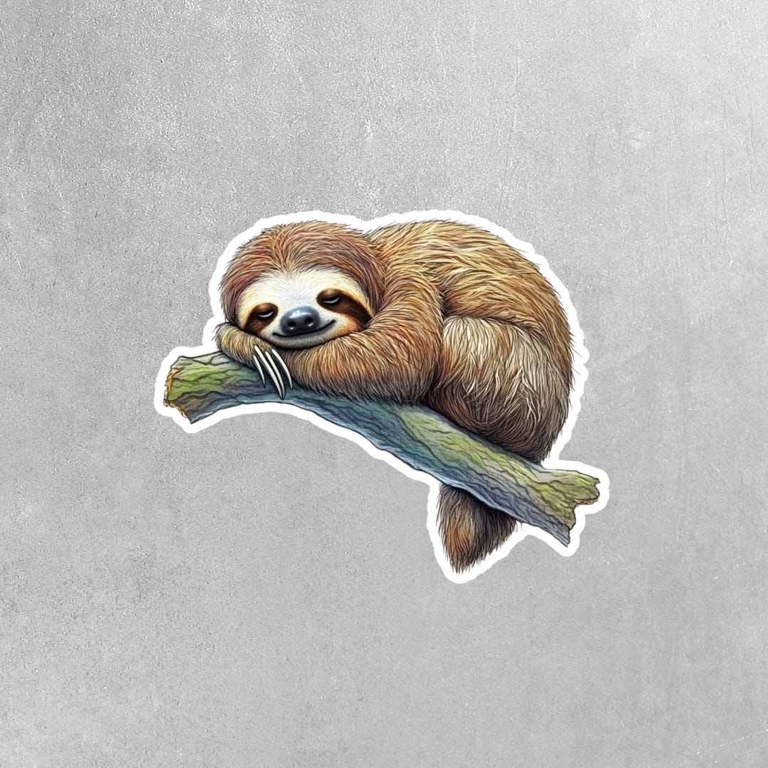 Sloth Sticker | Cute Sleeping Sloth | Sloth Napping Sticker - Etsy