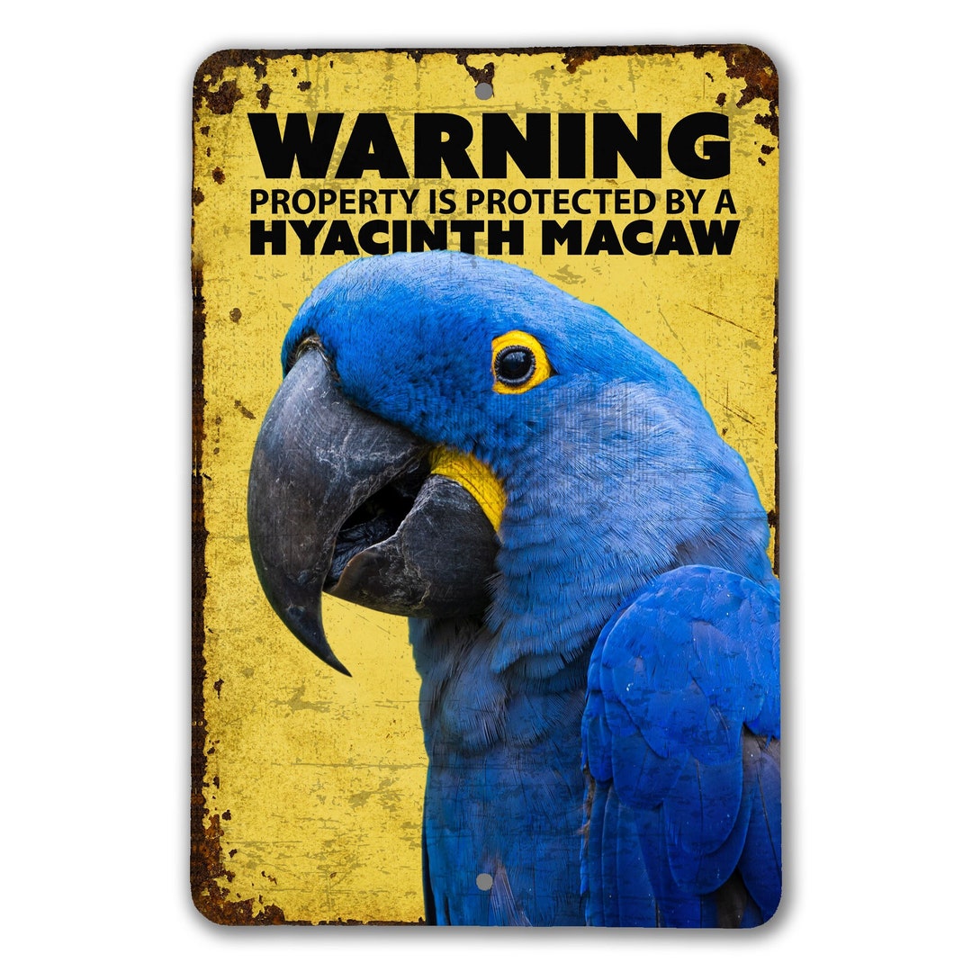 Warning Hyacinth Macaw Sign | Parrot Warning Sign | Hyacinth Macaw Sign ...