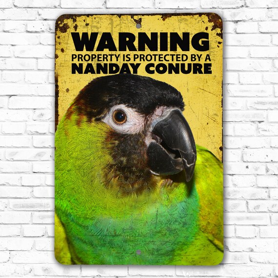 Nanday Conure Bird