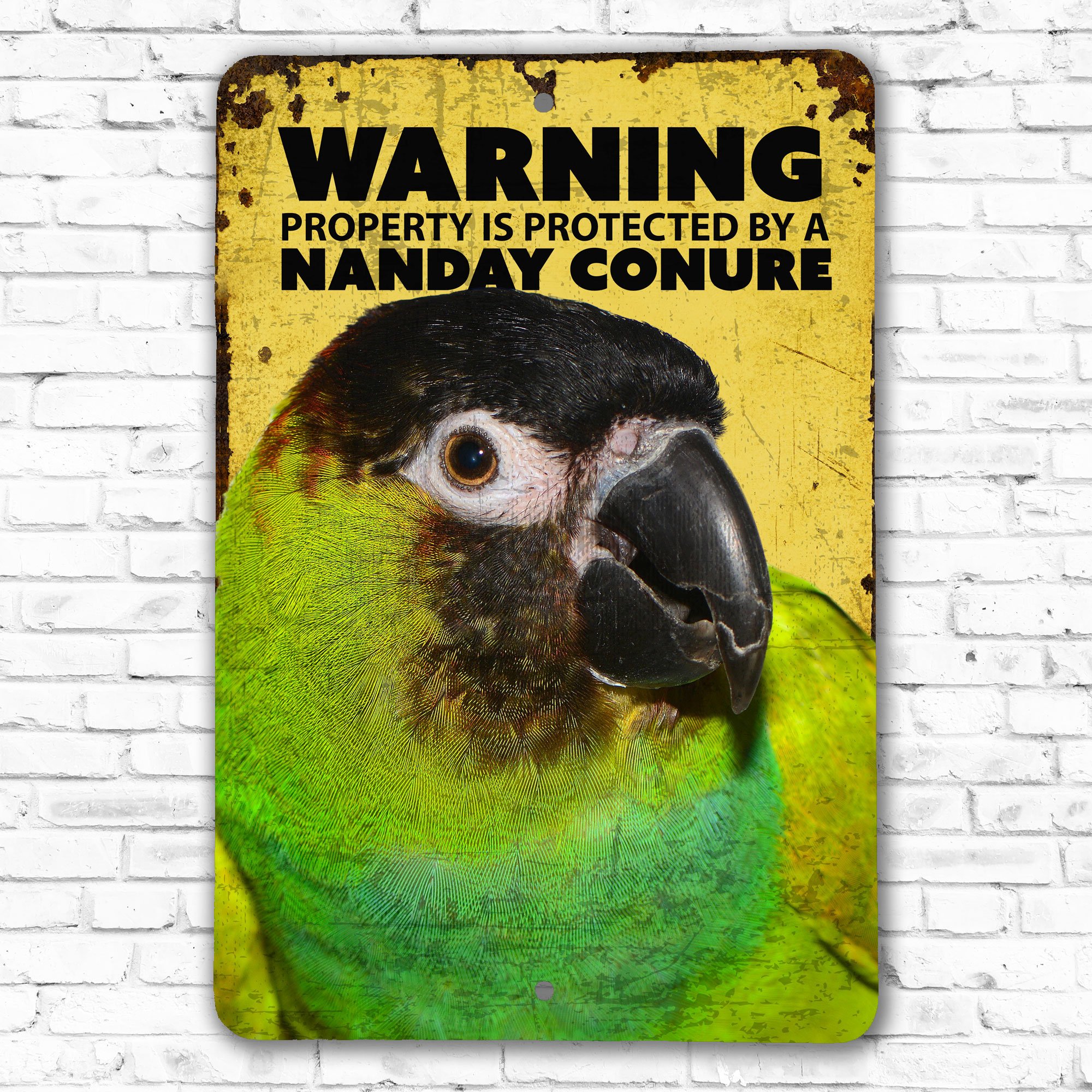 Nanday Conure