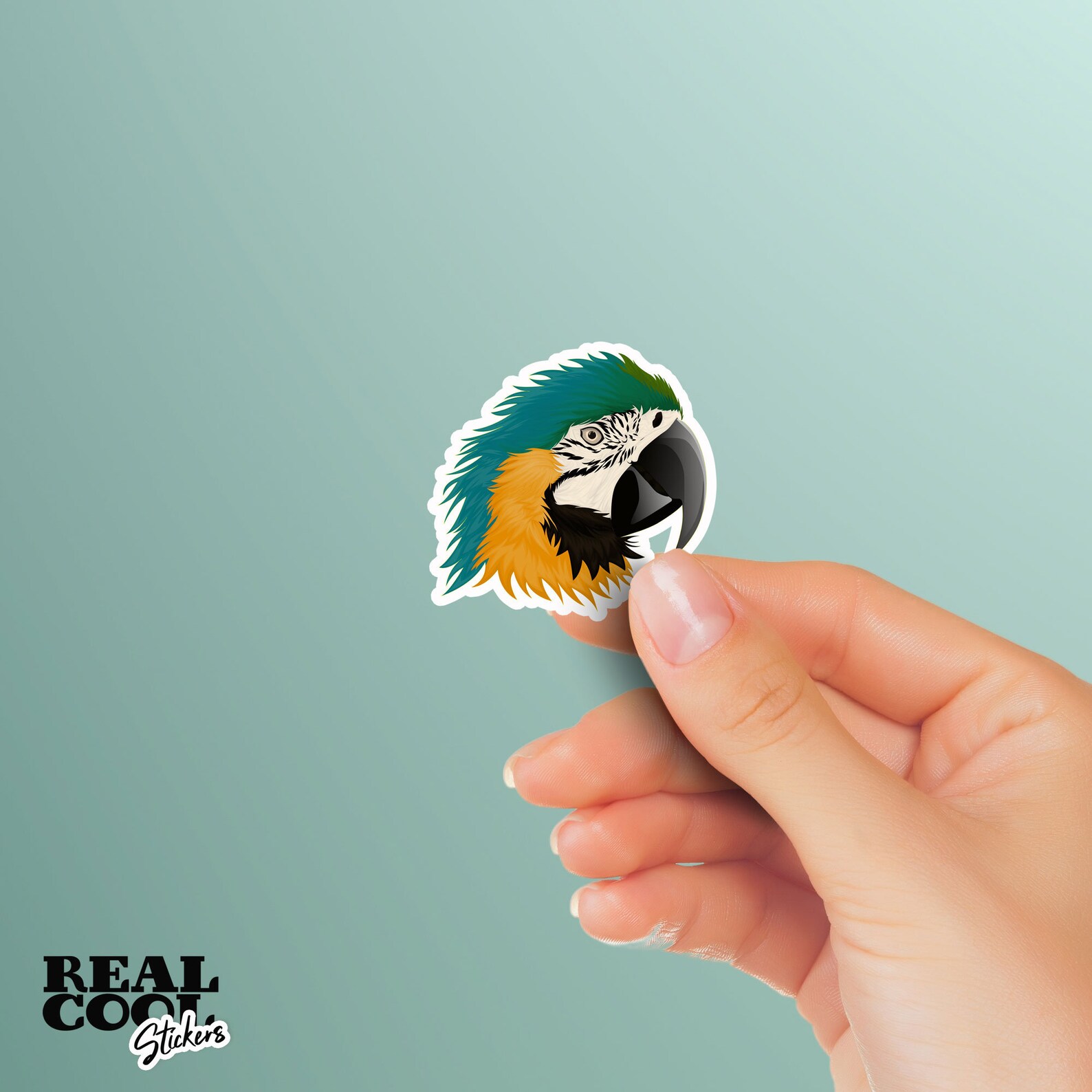 Macaw Sticker Parrot Stickers Macaw Decal - Etsy