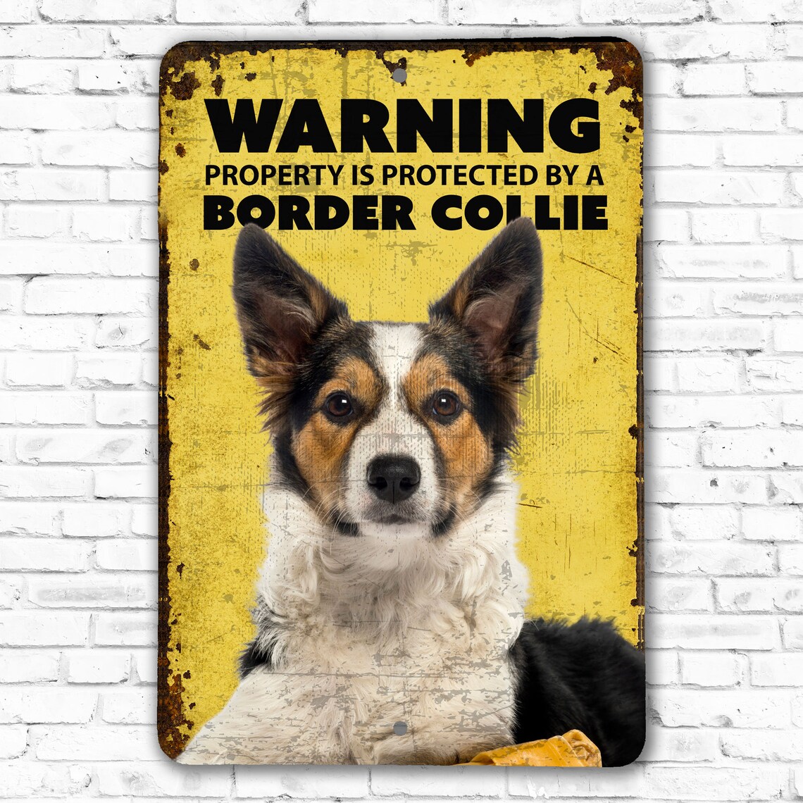 Warning Border Collie Sign Dog Warning Sign Border Collies | Etsy