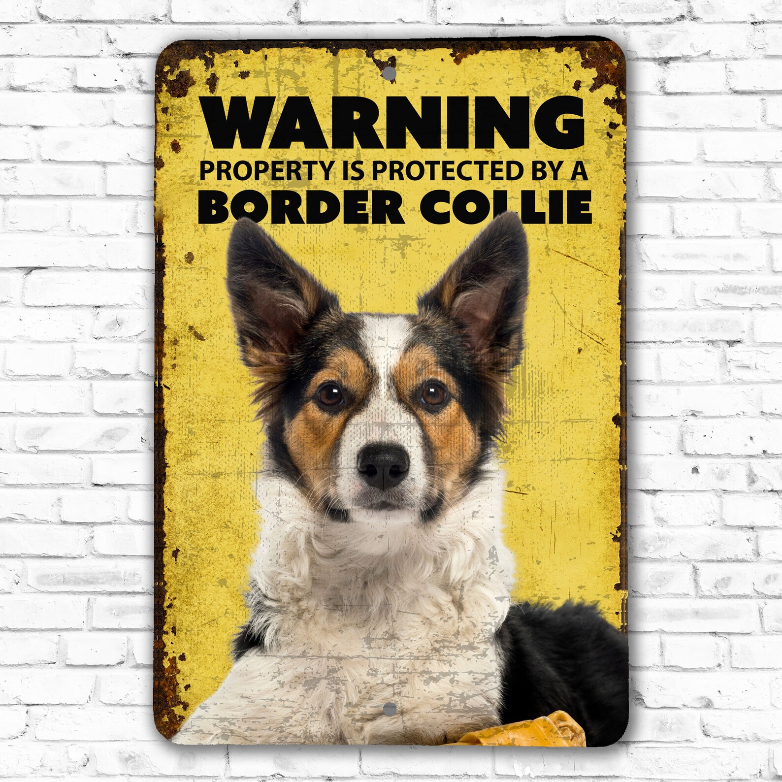 Warning Border Collie Sign Dog Warning Sign Border Collies | Etsy