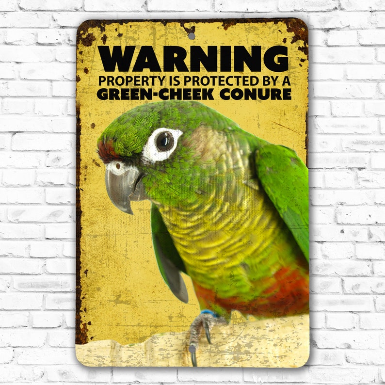 Warning Green Cheek Conure Sign | Parrot Warning Sign | Green Cheek ...