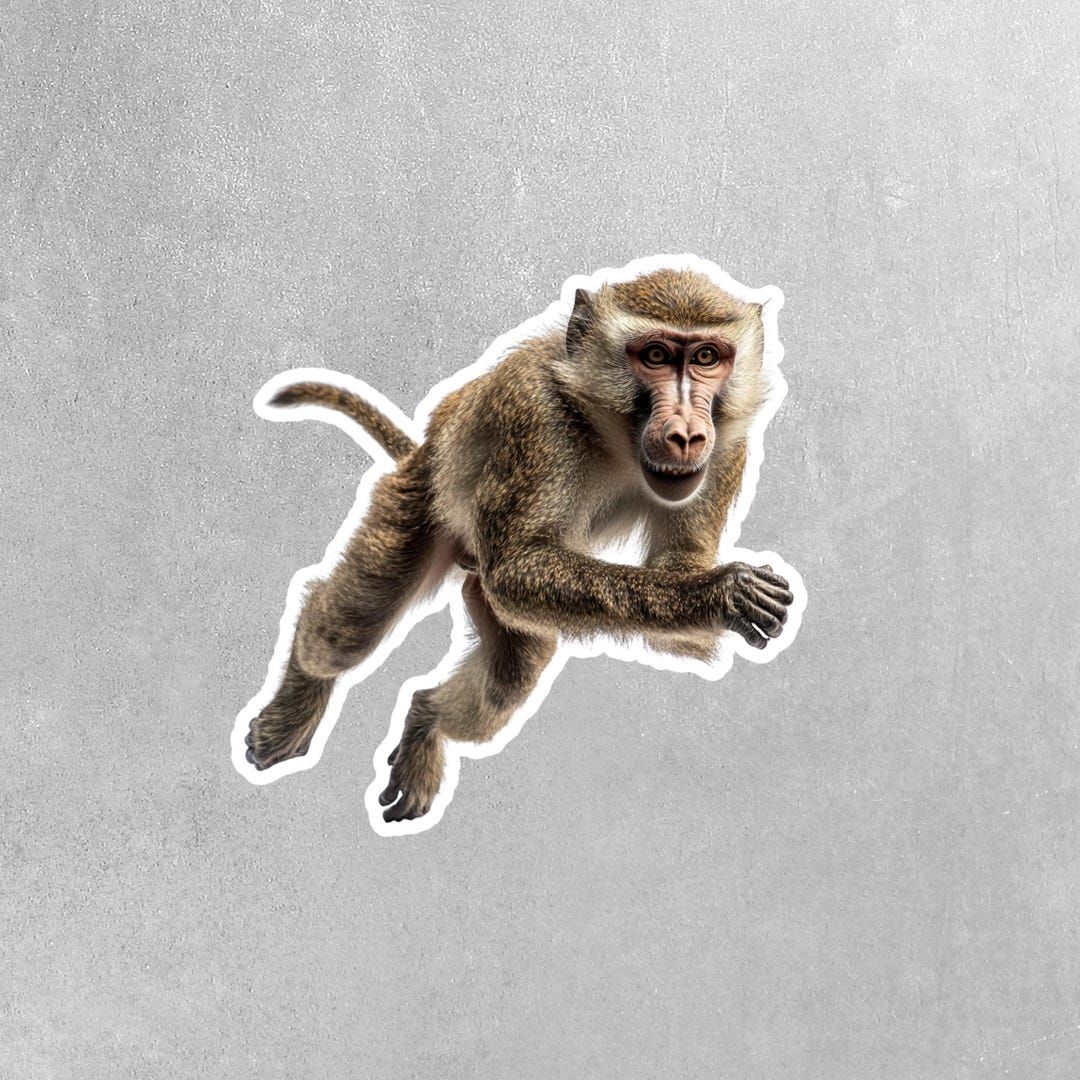 Baboon Sticker | Cute Animal Vinyl Decal for Laptops, Water Bottles ...