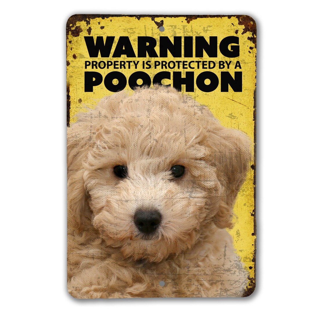 Warning Poochon Sign | Dog Warning Sign | Poochon Sign - Etsy